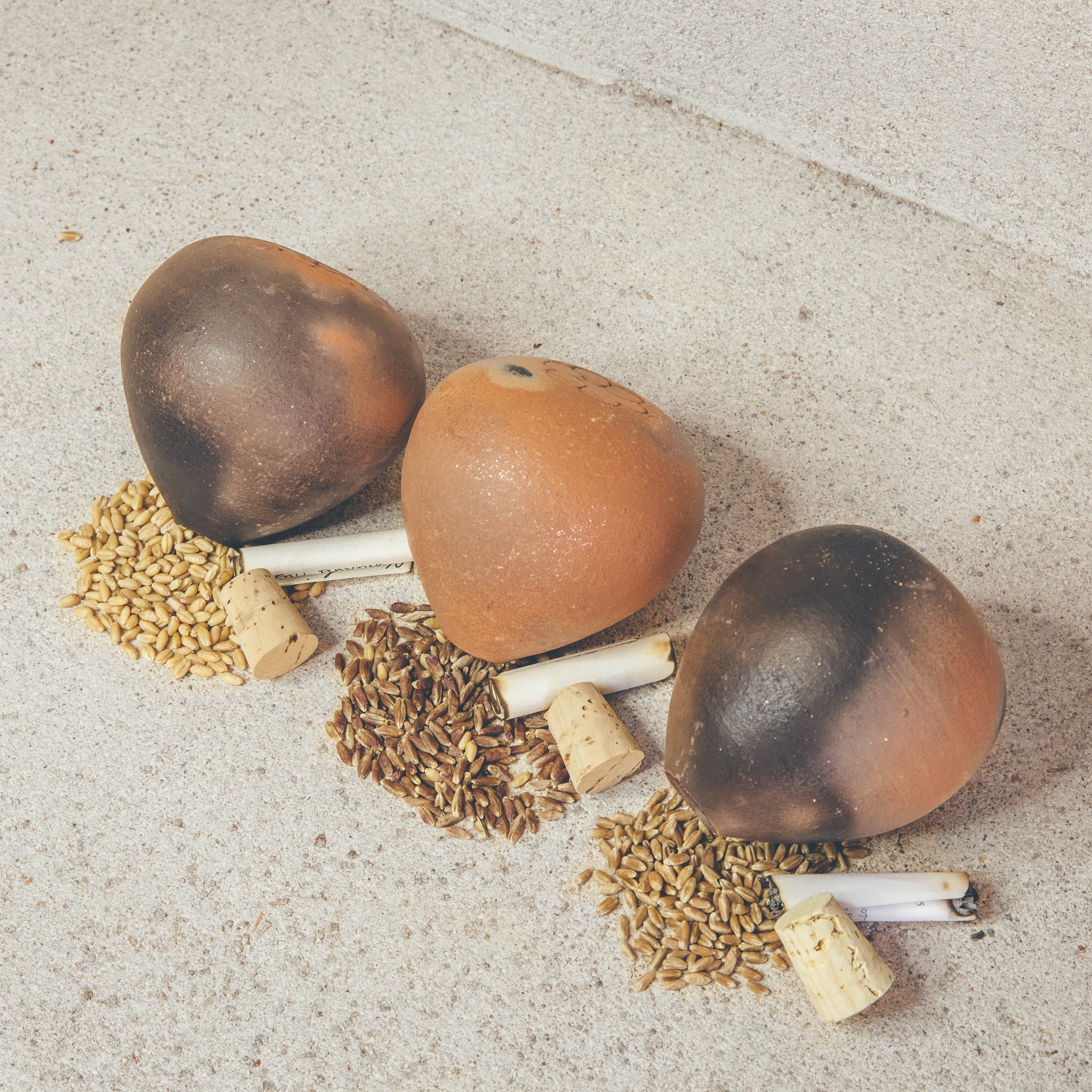 Seed Sets – Lineage Seeds