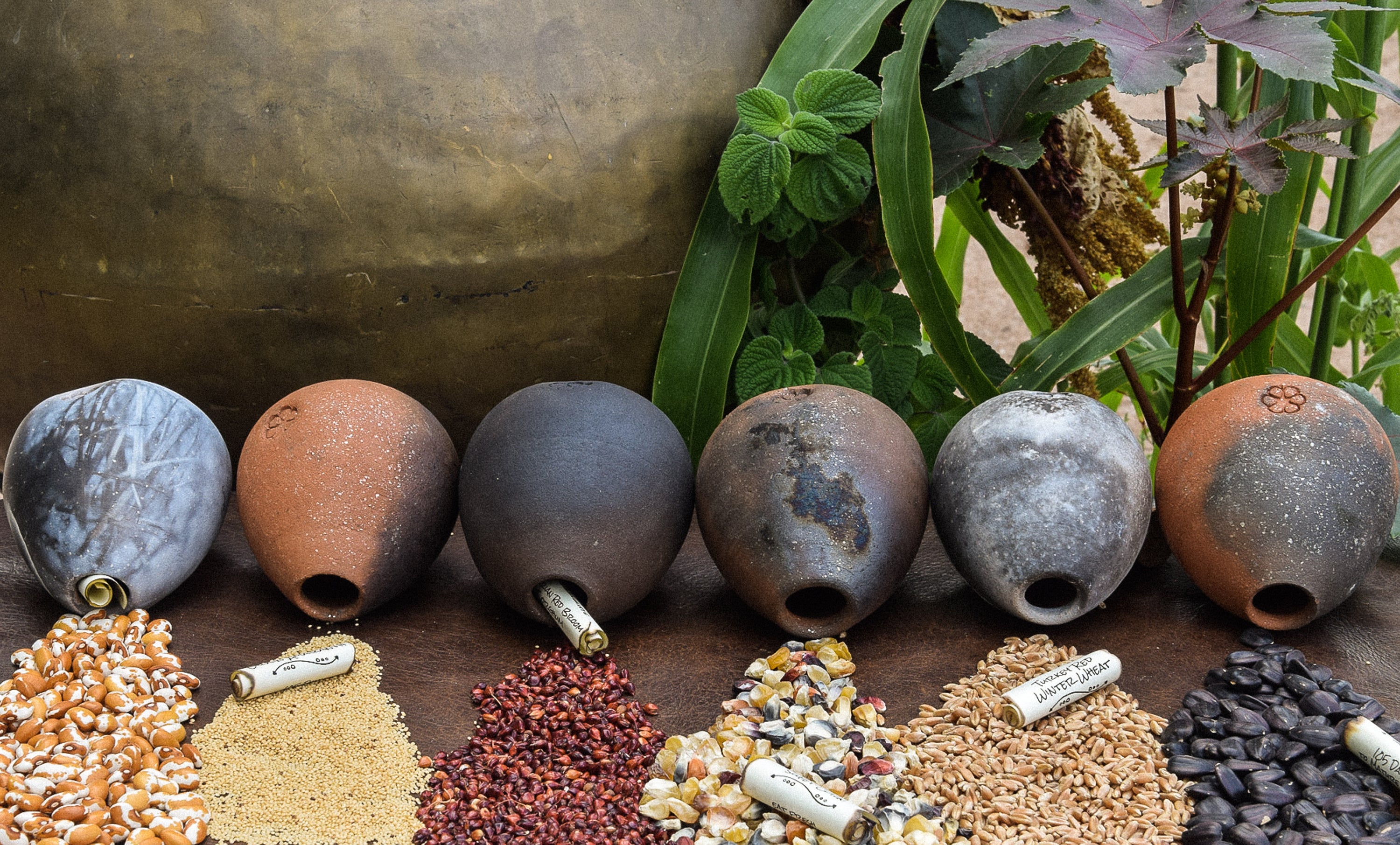 Clay Pot with Seeds and Scroll – Lineage Seeds