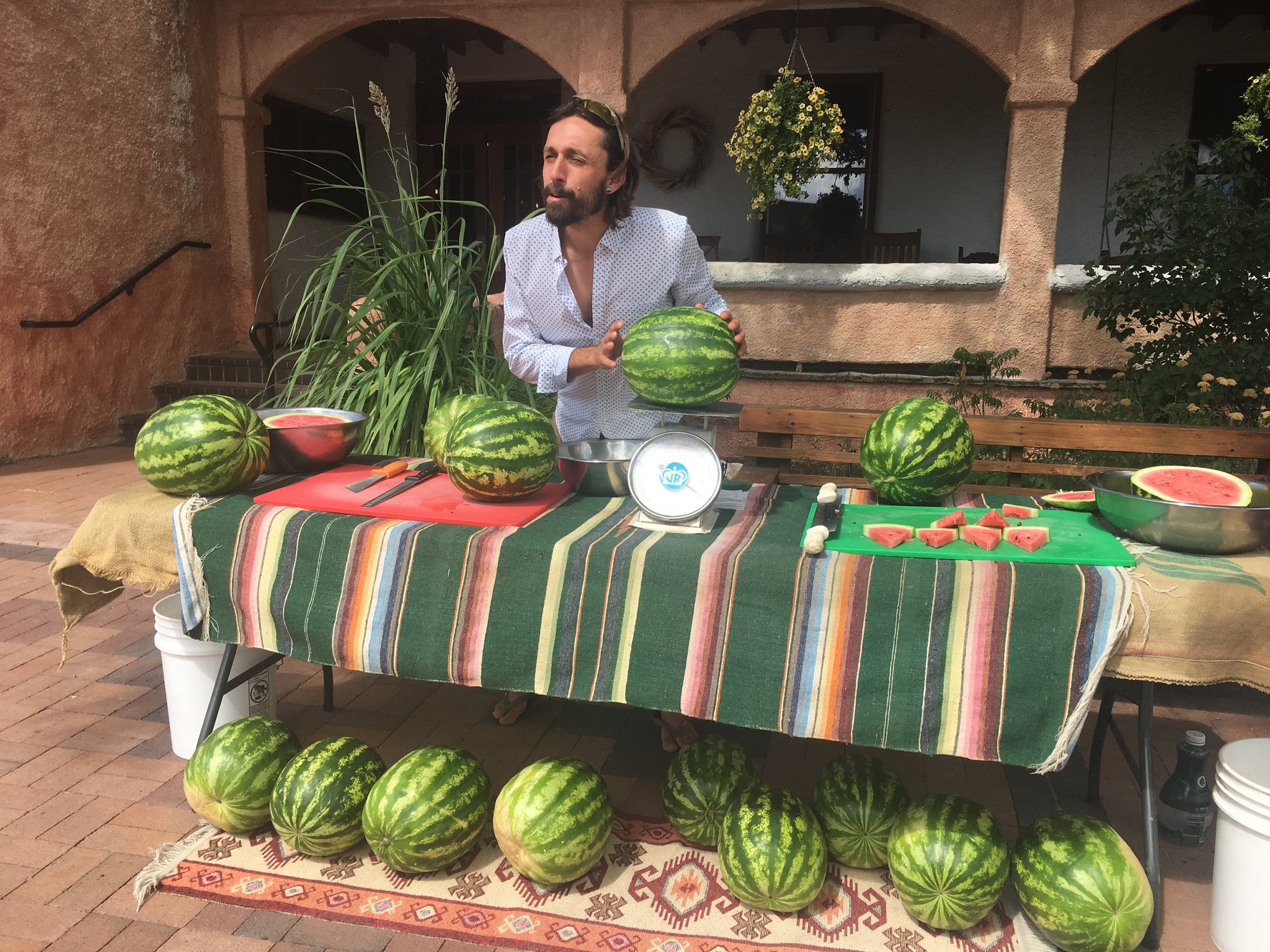Sweet Dakota Rose Watermelon – Lineage Seeds
