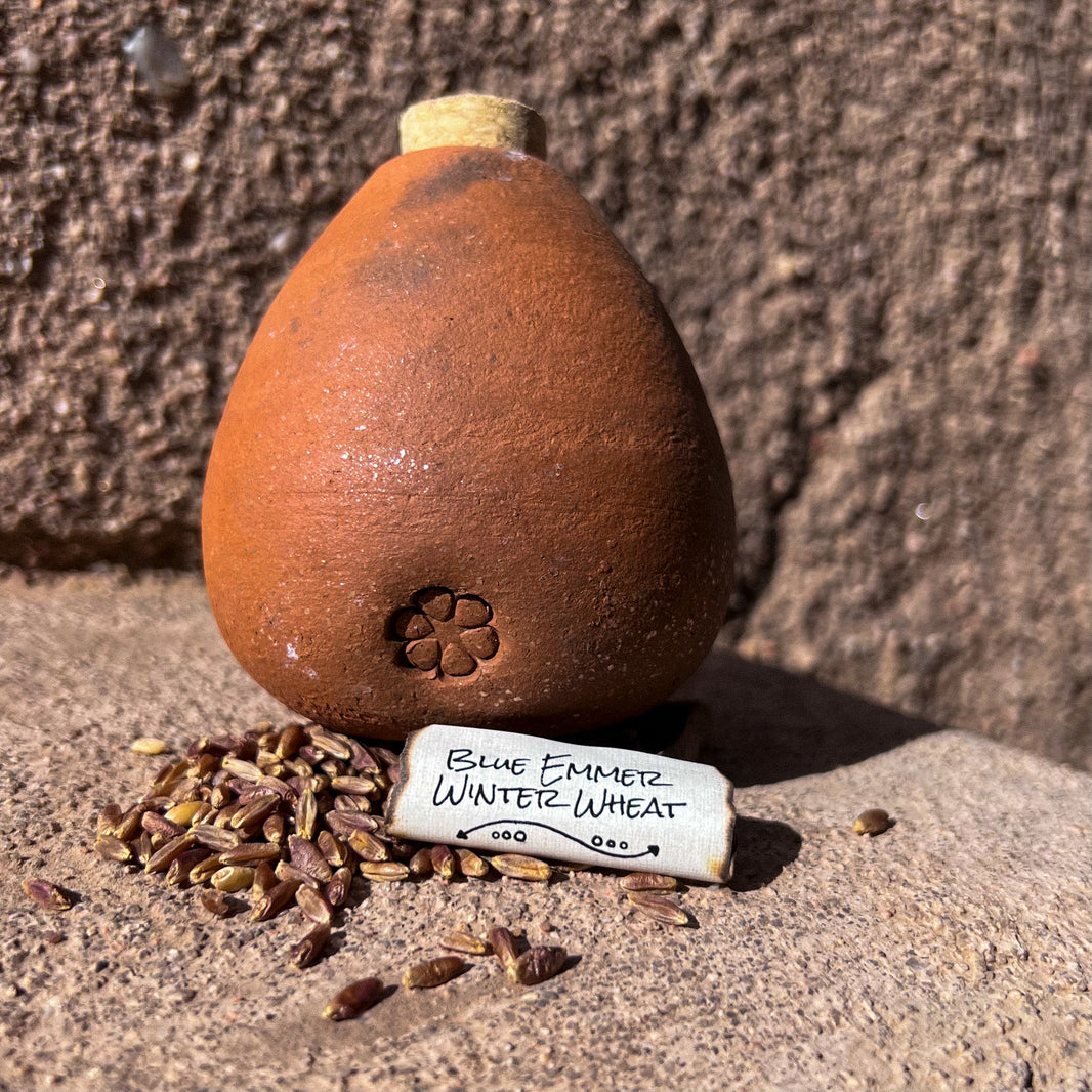 Clay Pot with Seeds and Scroll – Lineage Seeds