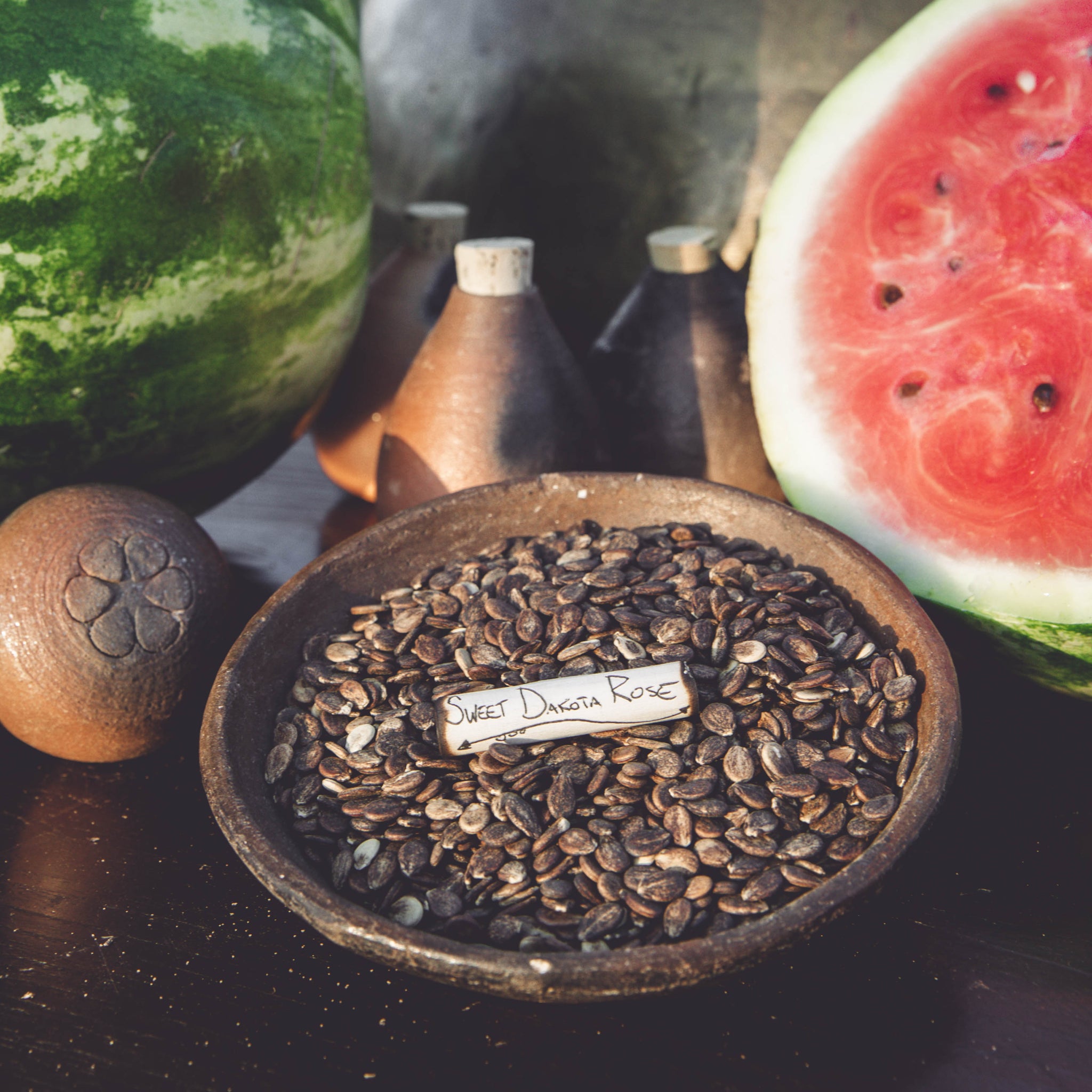 Sweet Dakota Rose Watermelon – Lineage Seeds